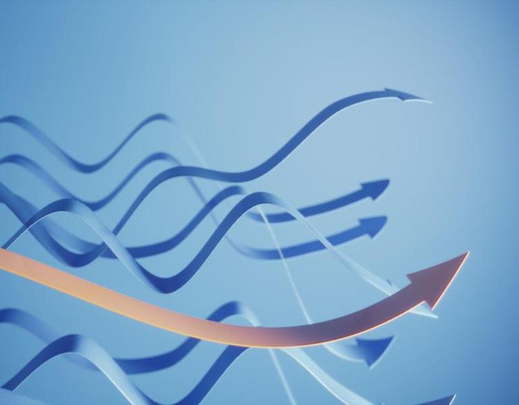 Cross-Border Perspectives